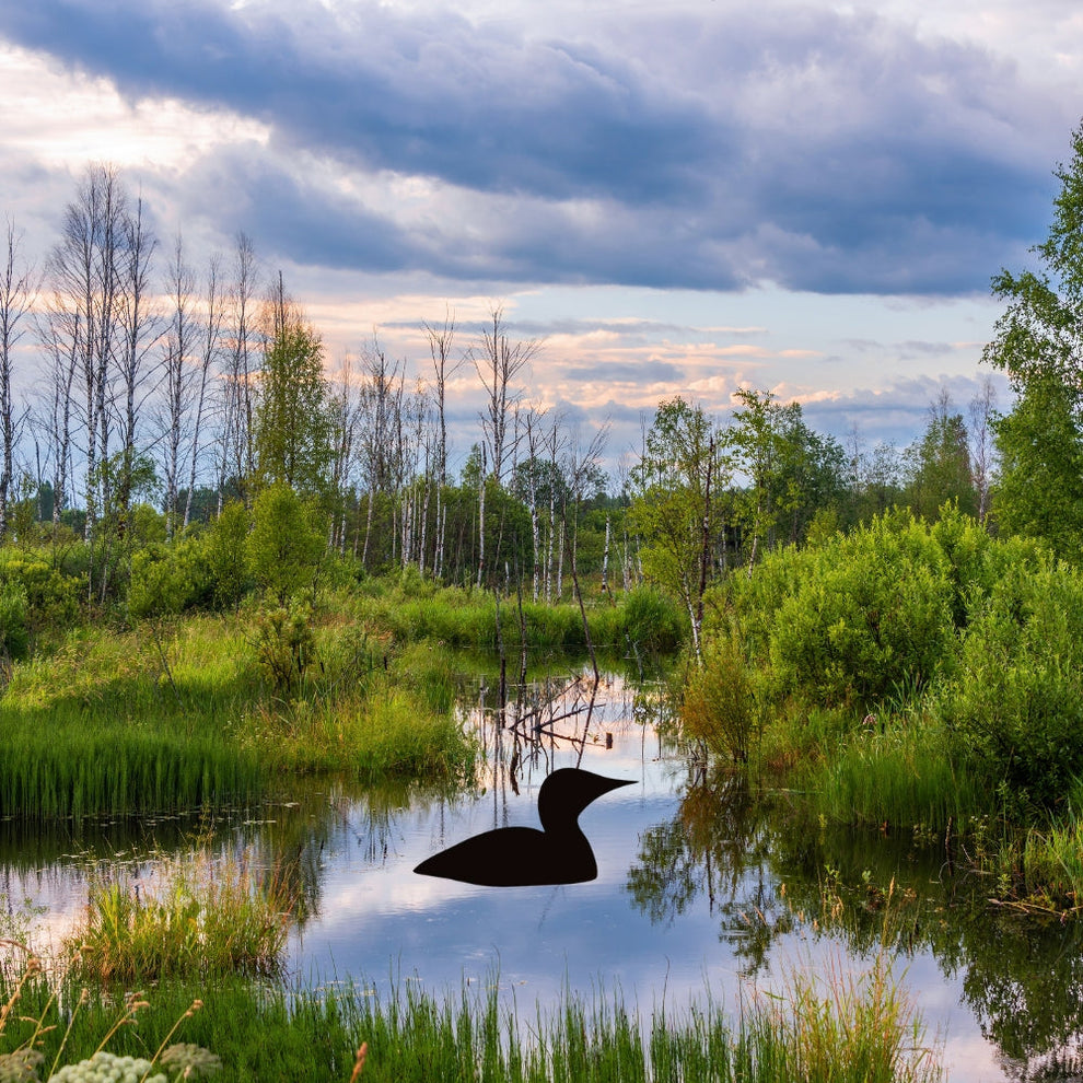 Loon Precut Glass Shape - COE 90 – Fuse Muse Fused Glass