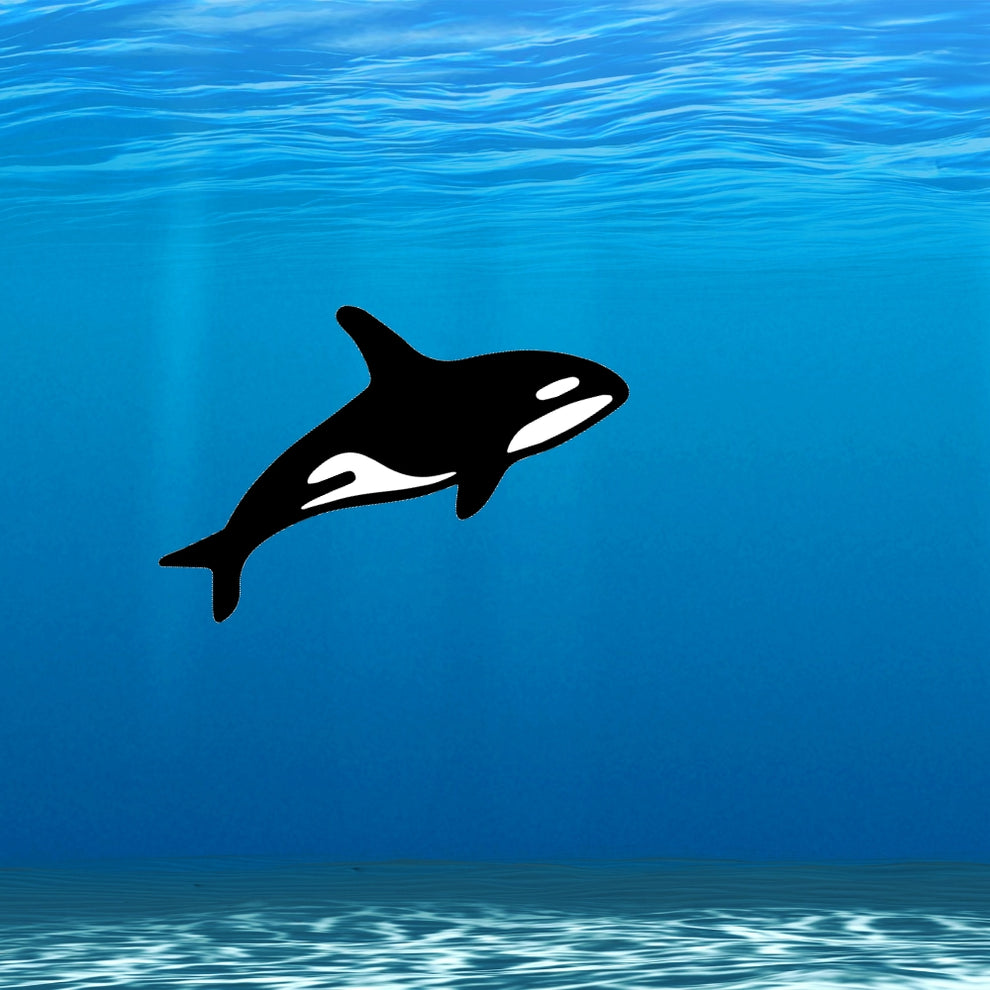 Orca/Killer Whale Precut Glass Shape - COE 96 – Fuse Muse Fused Glass