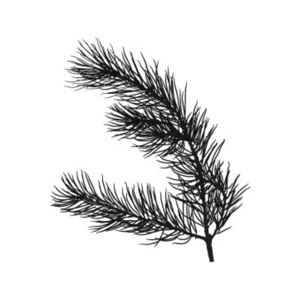 Pine Bough Silk Screen – Fuse Muse Fused Glass