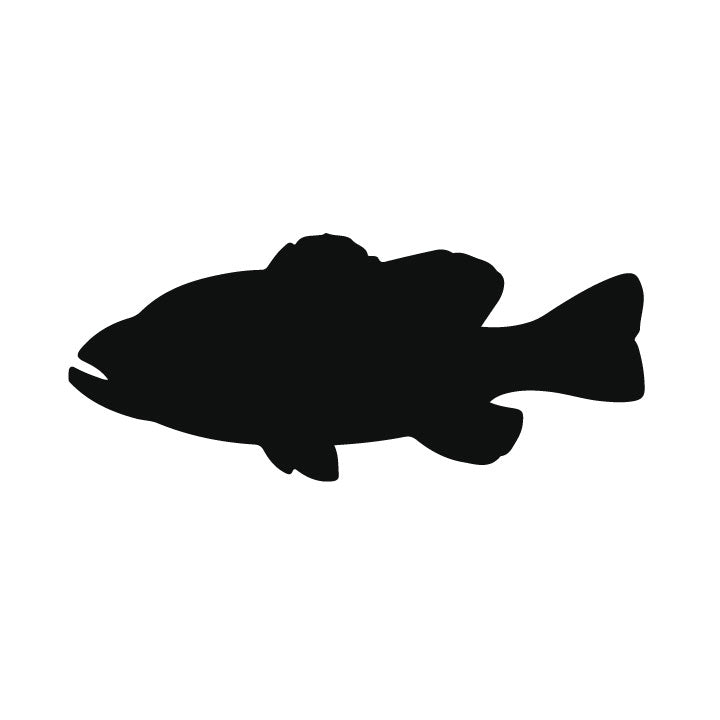 COE 90 Precut Fused Glass Shapes – Fuse Muse Fused Glass